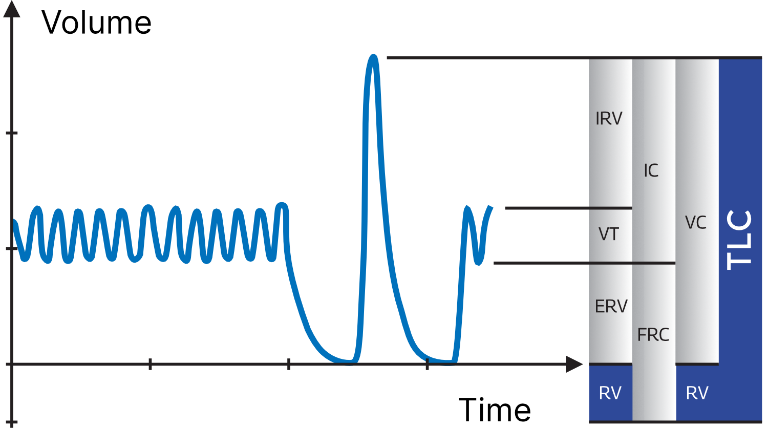 Home En - Body Plethysmograph buy guide